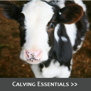 Agri Direct | Your Online Agri Store | agridirect.ie