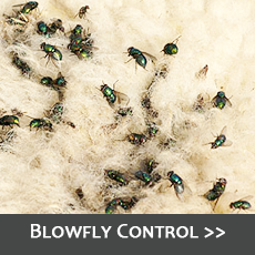 Agri Direct | Your Online Agri Store