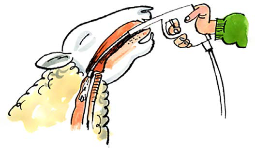 Agri Direct | Your Online Agri Store | agridirect.ie