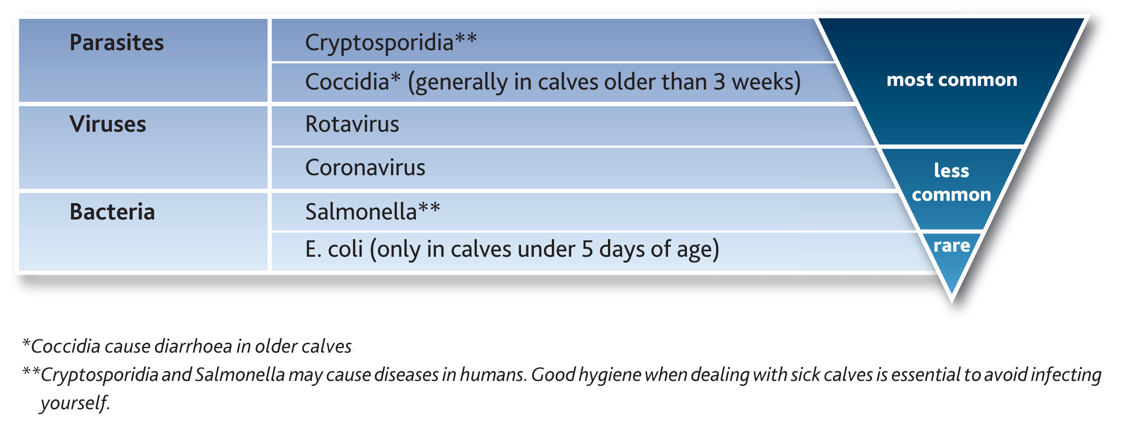 Scour - Causes, Prevention and Cures to keep your herd in top shape ...