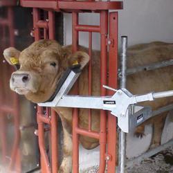 Dosing & Vaccination Equipment for Beef Farming | agridirect.ie