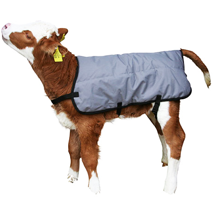 Calf Jacket | Agridirect | agridirect.ie