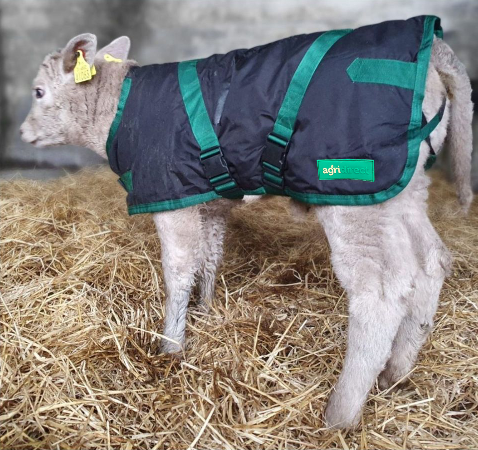 AgriDirect Calf Jacket | agridirect.ie
