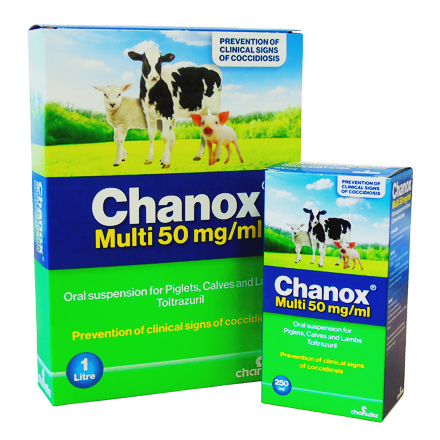 Chanox Multi (Toltrazuril) | Agridirect | agridirect.ie