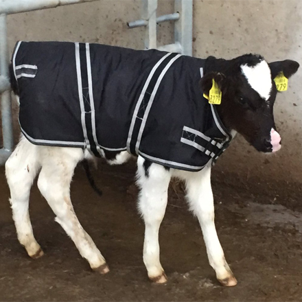 Cosy Calf Jacket | Agridirect | agridirect.ie