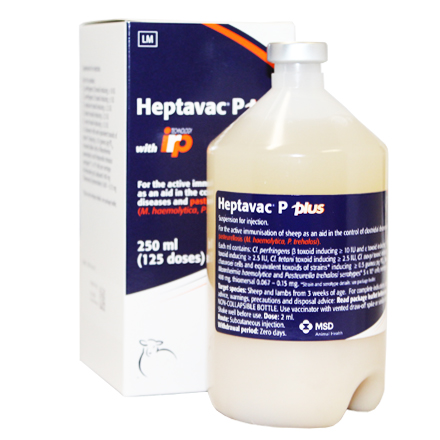 Heptavac P Plus immunisation for sheep | | agridirect.ie
