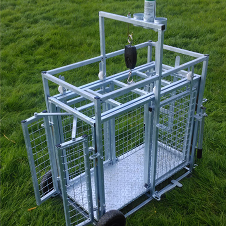 Sheep and Lamb Weighing Scales | agridirect.ie
