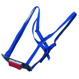 Nylon Ram Harness | agridirect.ie